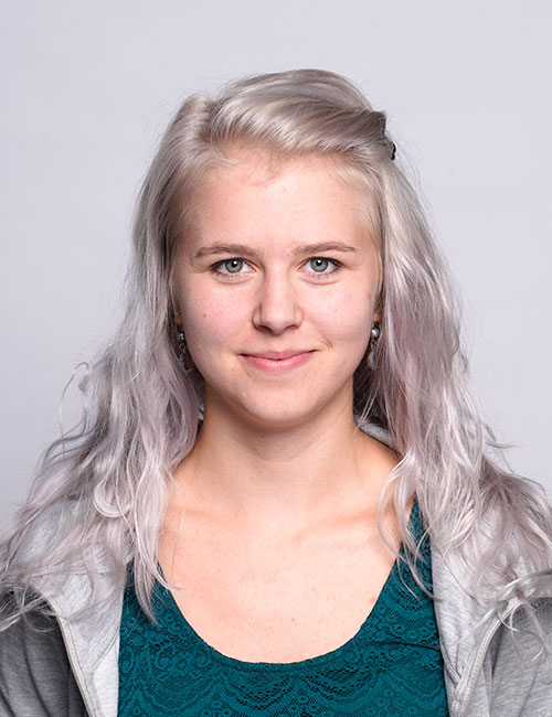 Team – Insect Services